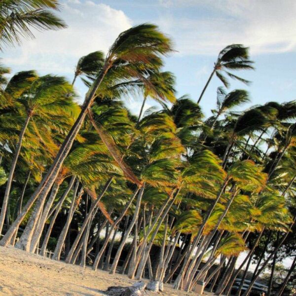 6 Steps to Being Resilient